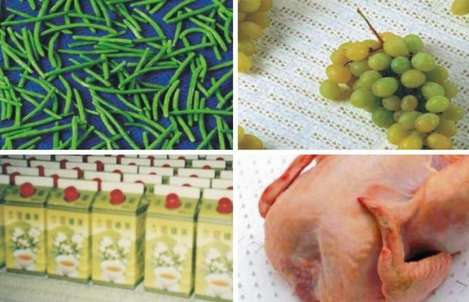 Transport Plastic Slat 1000 Series Modular Conveyor Belt for Barley ...