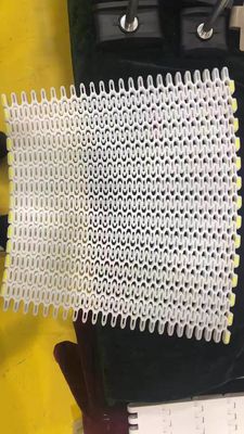 China Transport Plastic Slat Modular Conveyor Belt for Barley Malt Conveyor